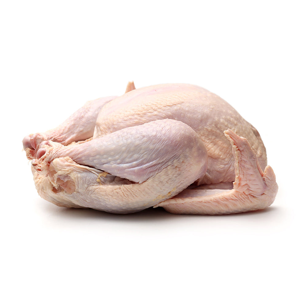Whole Free Range Uncooked Turkey ~13 lbs – FeedingUKosher